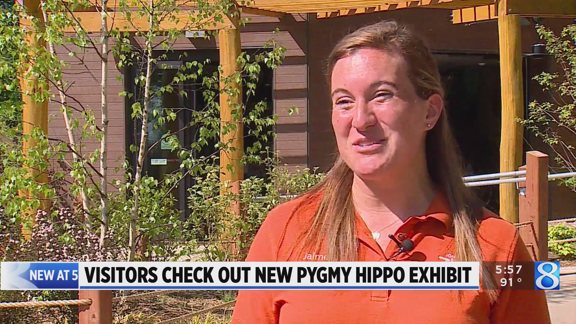 Visitors check out new pygmy hippo exhibit at John Ball Zoo – WOODTV.com