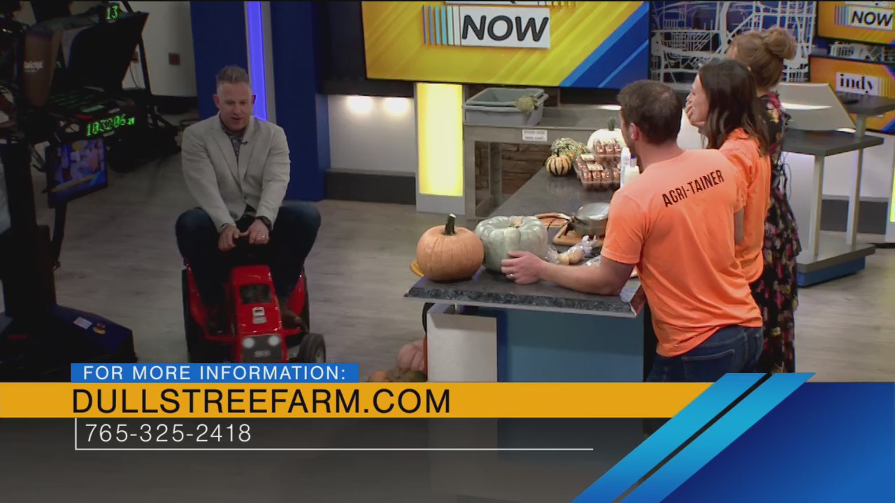 Pumpkin Harvest at Dull’s Tree Farm is a can’t miss event! – 9/28/23 ...