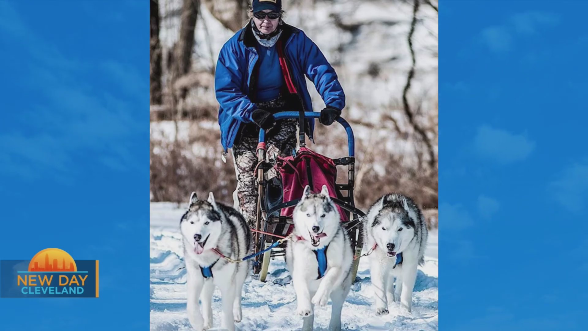 New Day Cleveland: Siberian Husky Club of Greater Cleveland – Fox 8 ...