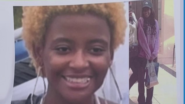 Missing Ill. woman may have been lured into van: Family – PIX11