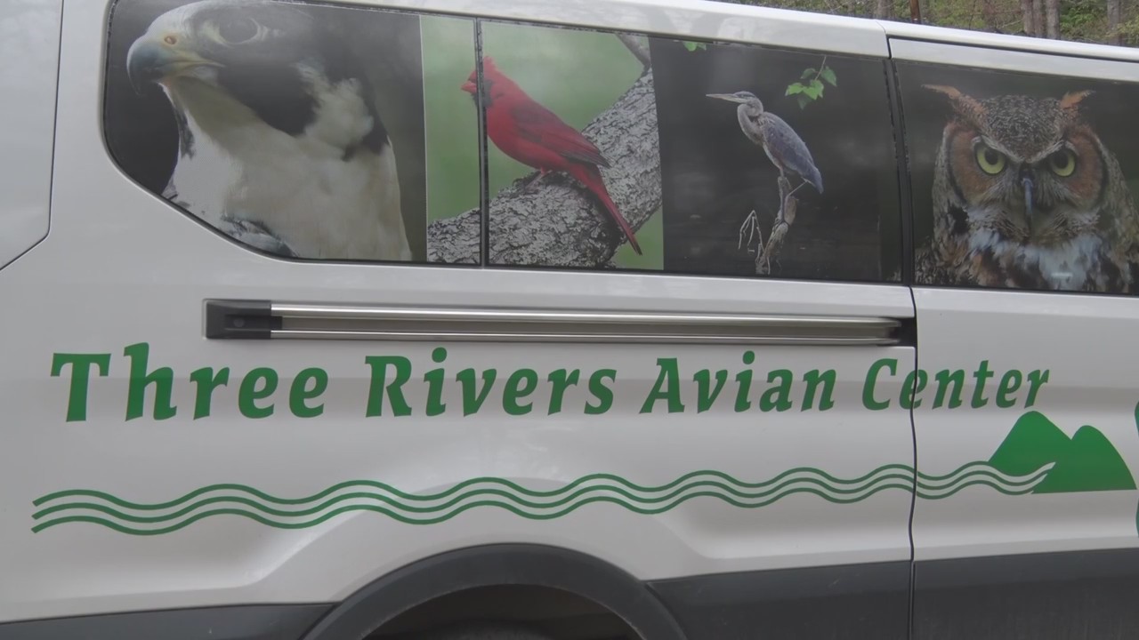 Three Rivers Avian Center Celebrate Birds Migration – WVNS