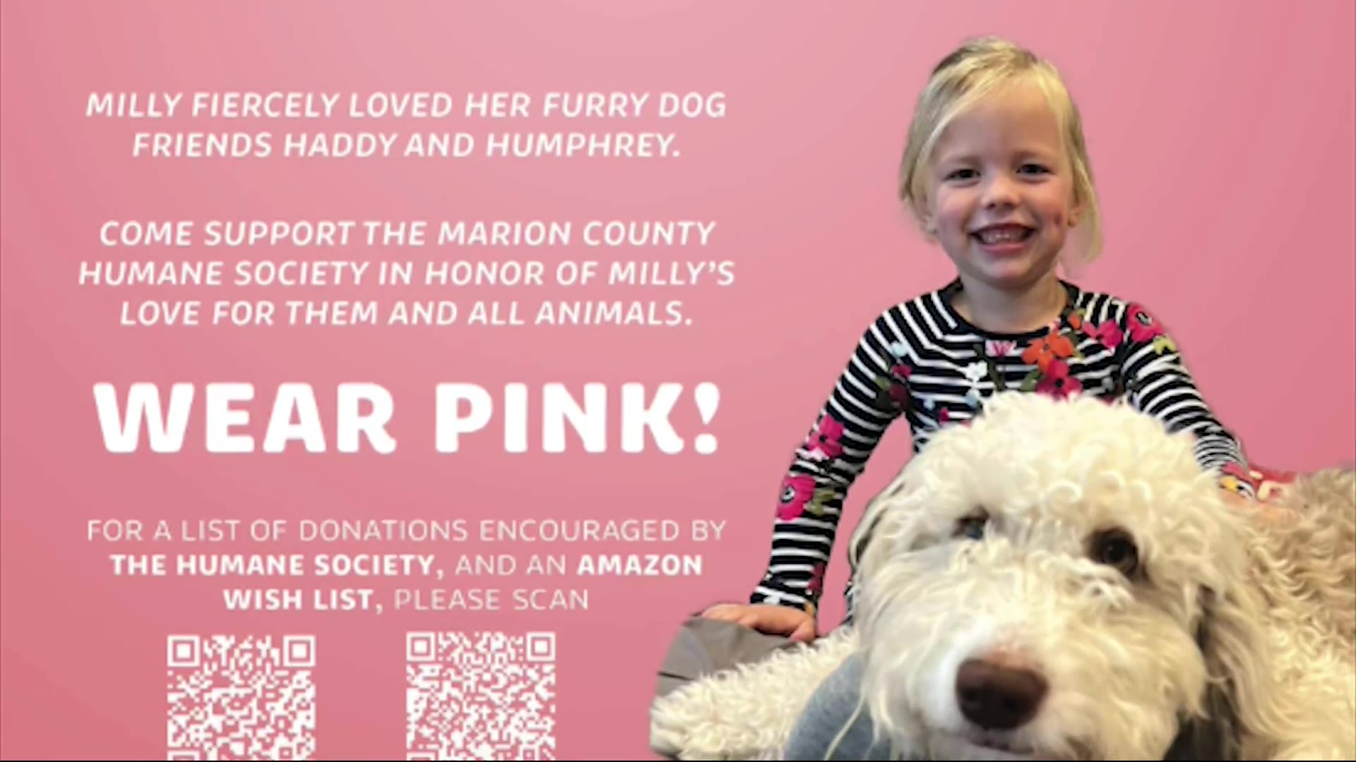 Milly Moo’s Hugs for the Humane Society Raising Money Raising Money in ...