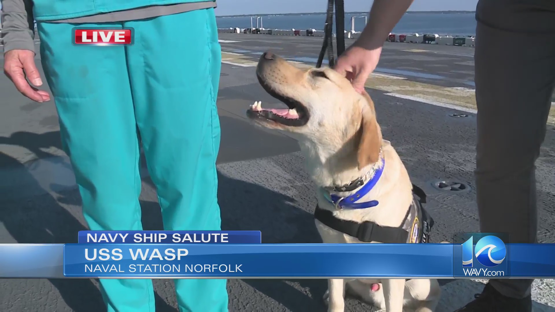 WAVY’s Navy Ship Salute: USS Wasp – WAVY.com