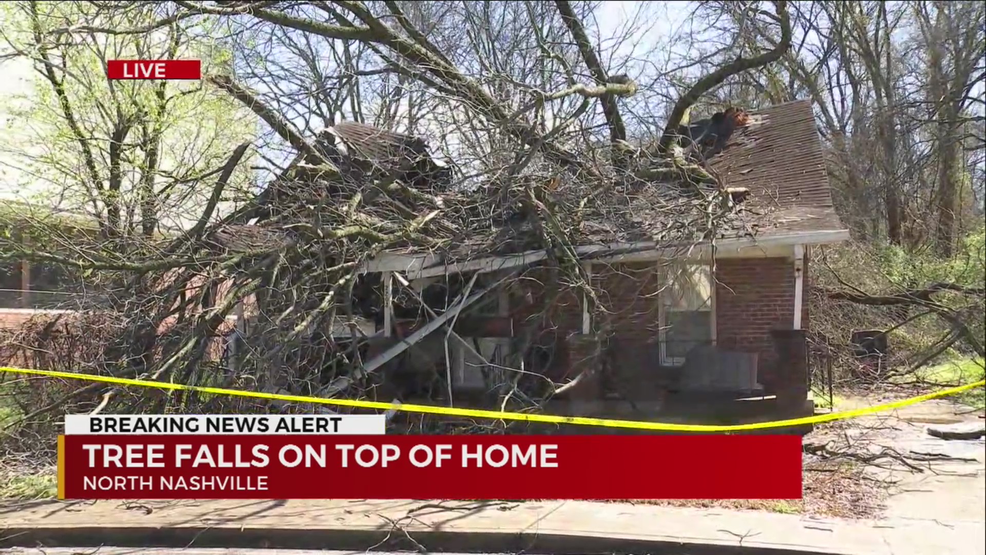 Tree falls on home in North Nashville – WKRN News 2