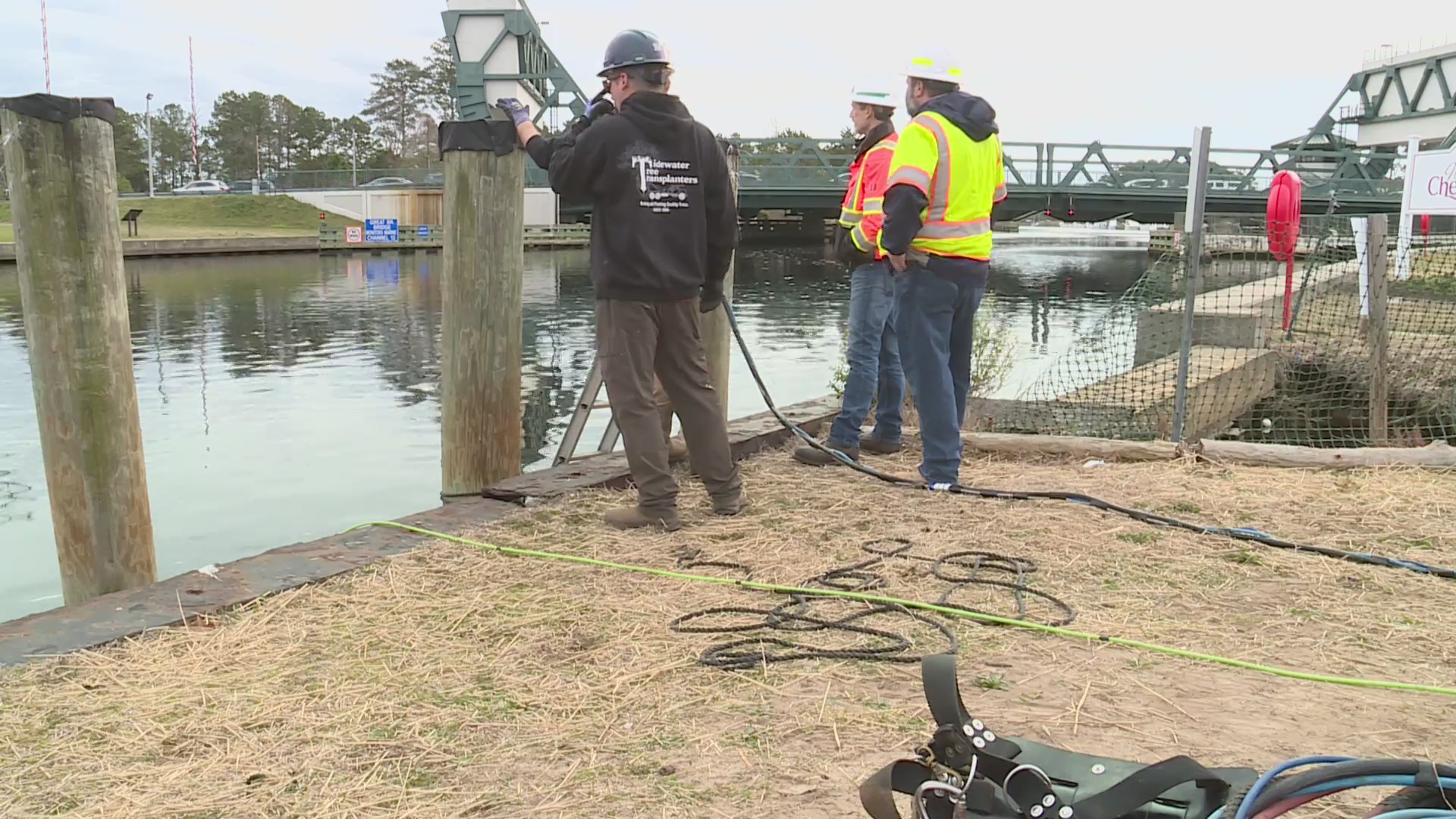 Divers discover ‘significant damage’ following wastewater spill at ...