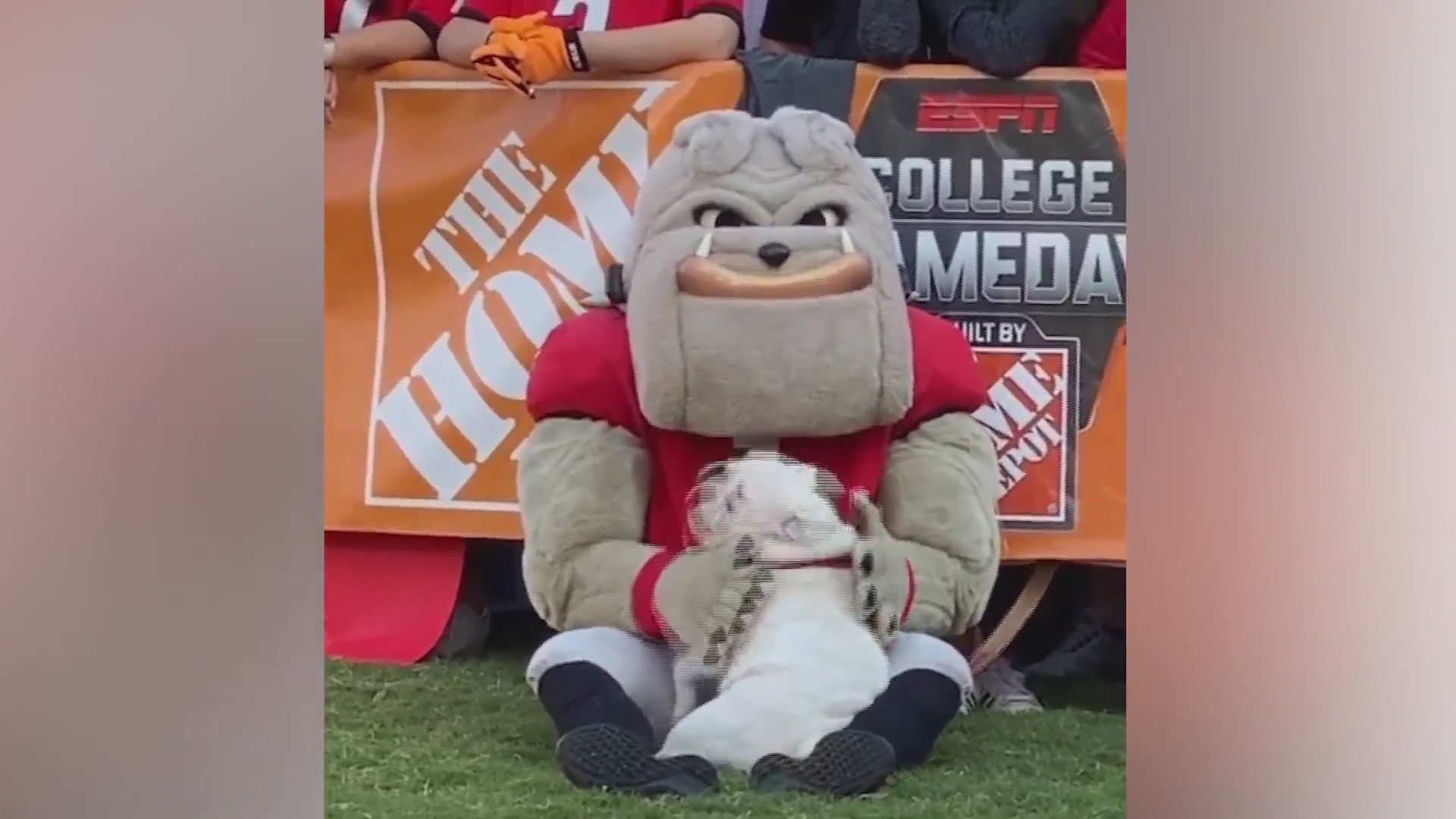 Kirby the Bulldog Visits the Studio – WRBL