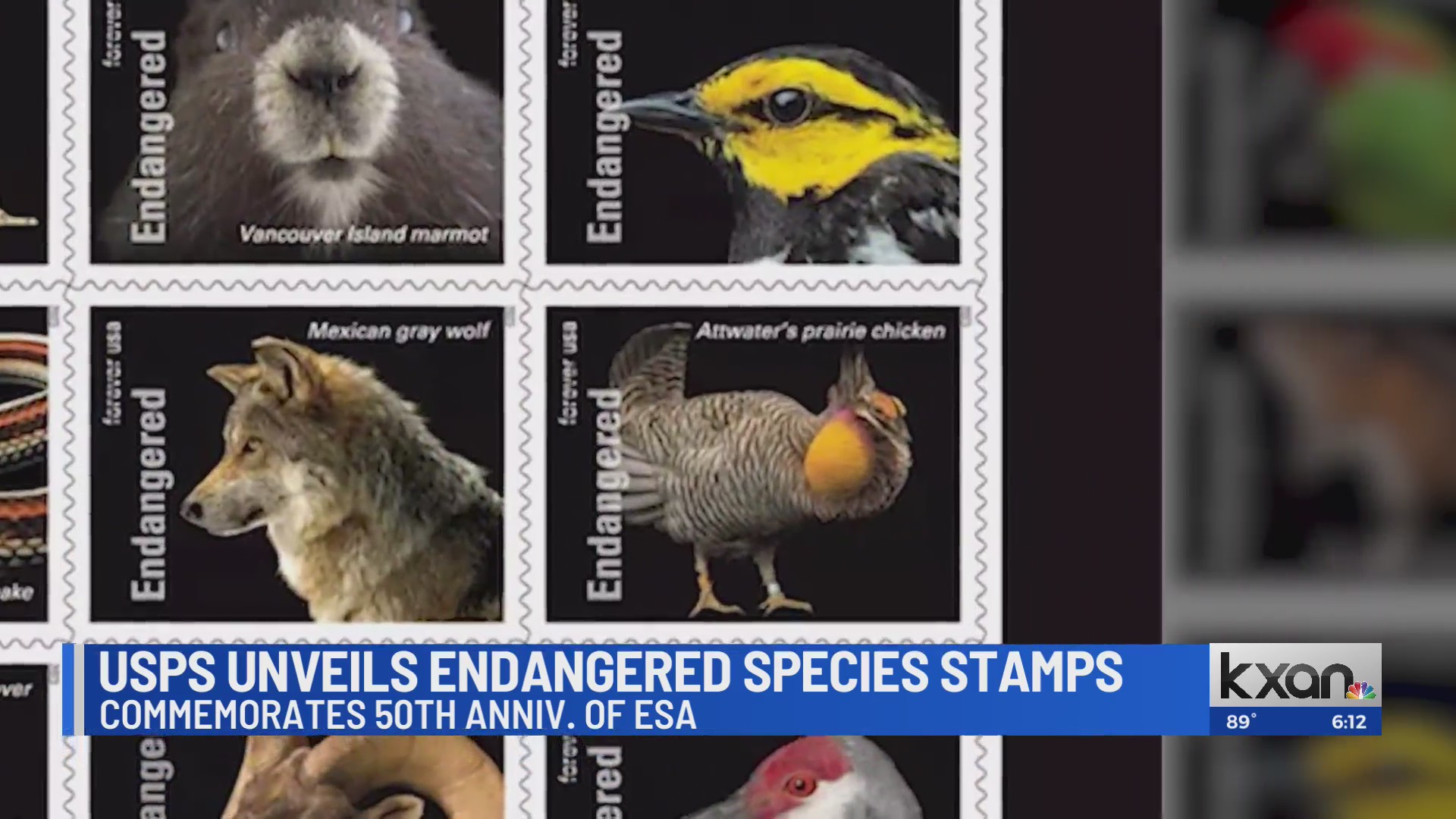 USPS unveils animal stamps for 50th anniversary of Endangered Species ...