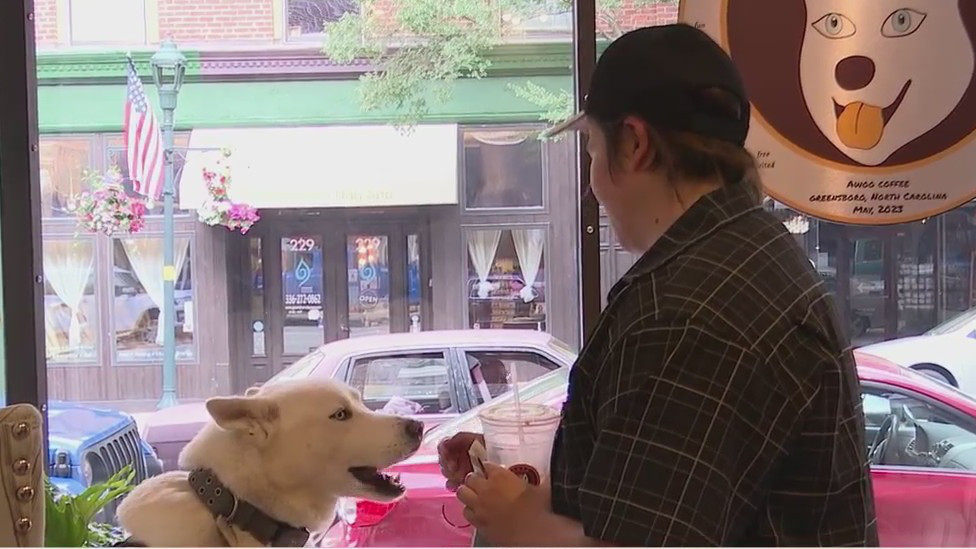 Awoo the husky celebrates 4th birthday in downtown Greensboro – FOX8 WGHP