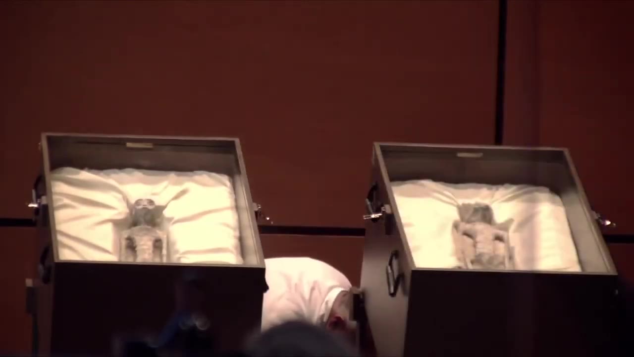 WATCH: Scientist releases photos of “alien corpses” – WTRF