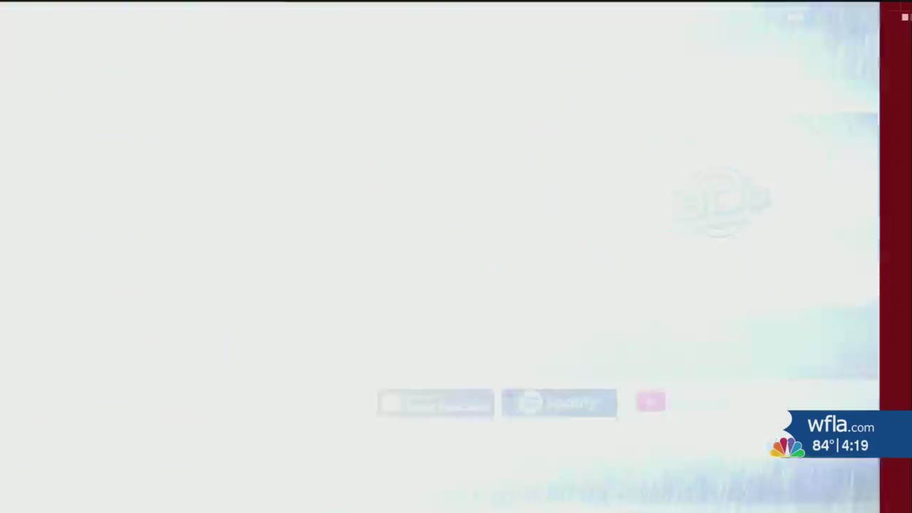 MAX DEFENDER 8 FORECAST AT 4 – WFLA