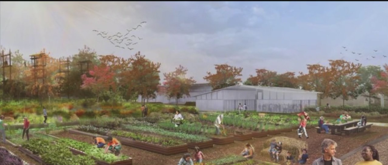 Launch Expeditionary Learning Charter School – PIX11