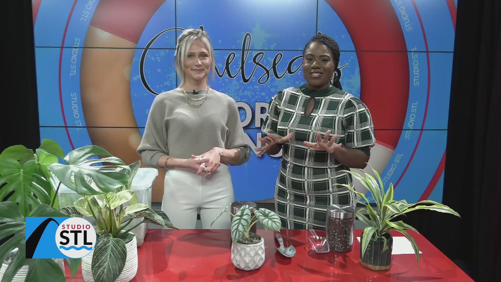 Miss Folia Plant Company is growing fast, like her plants – FOX 2