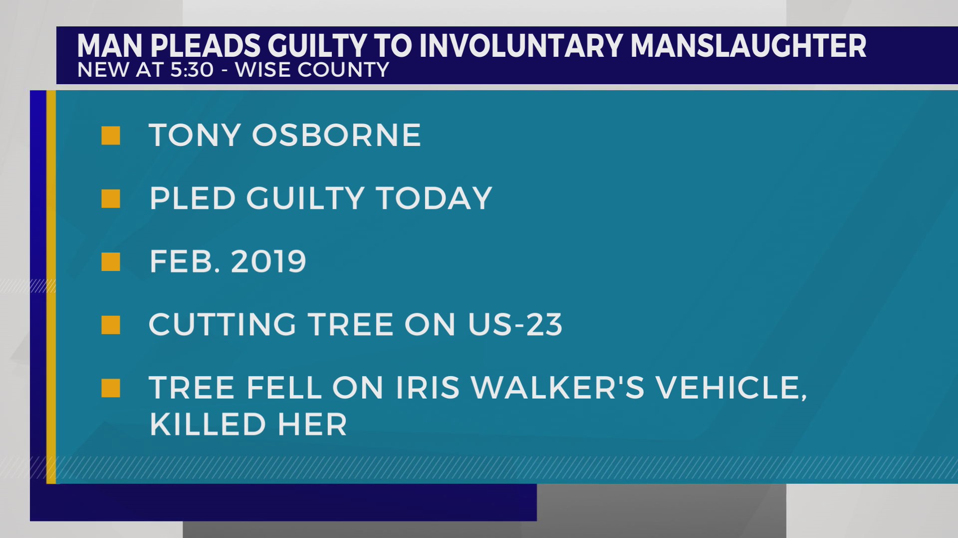Wise County man pleads guilty in 2019 tree cutting manslaughter case ...