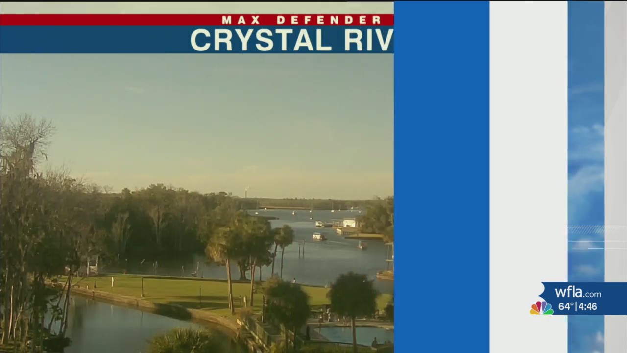 MAX DEFENDER 8 FORECAST AT 430 – WFLA