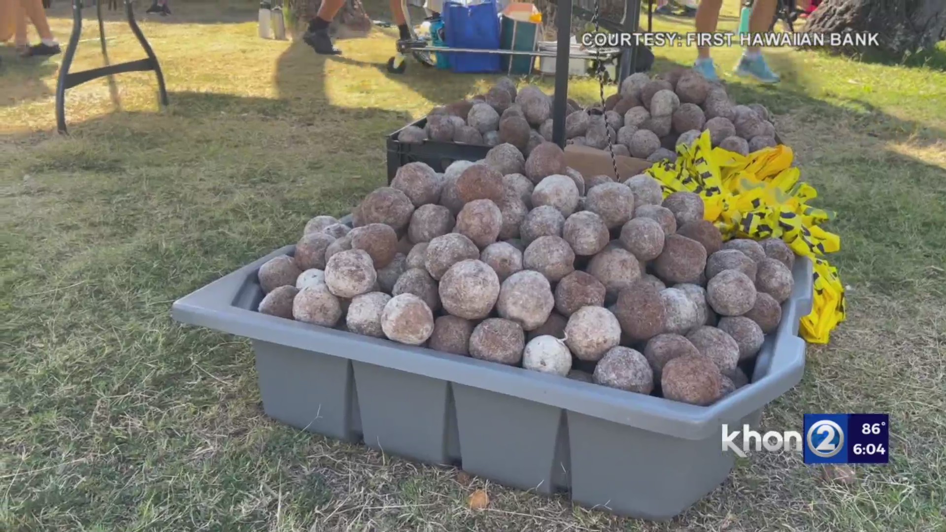 How to make Genki balls, inspire keiki – KHON2