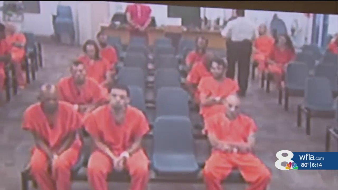 Child predator cases – WFLA