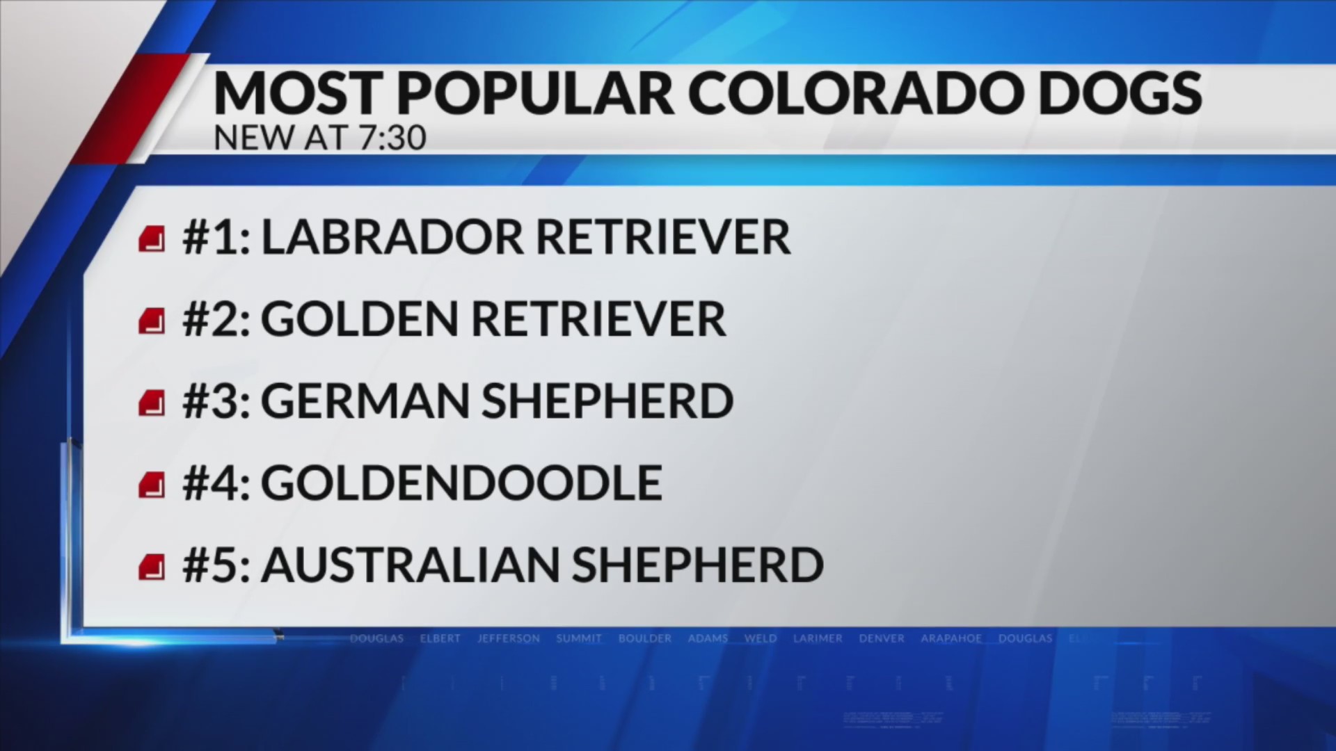 What are the top dog breeds in Colorado? – FOX31 Denver