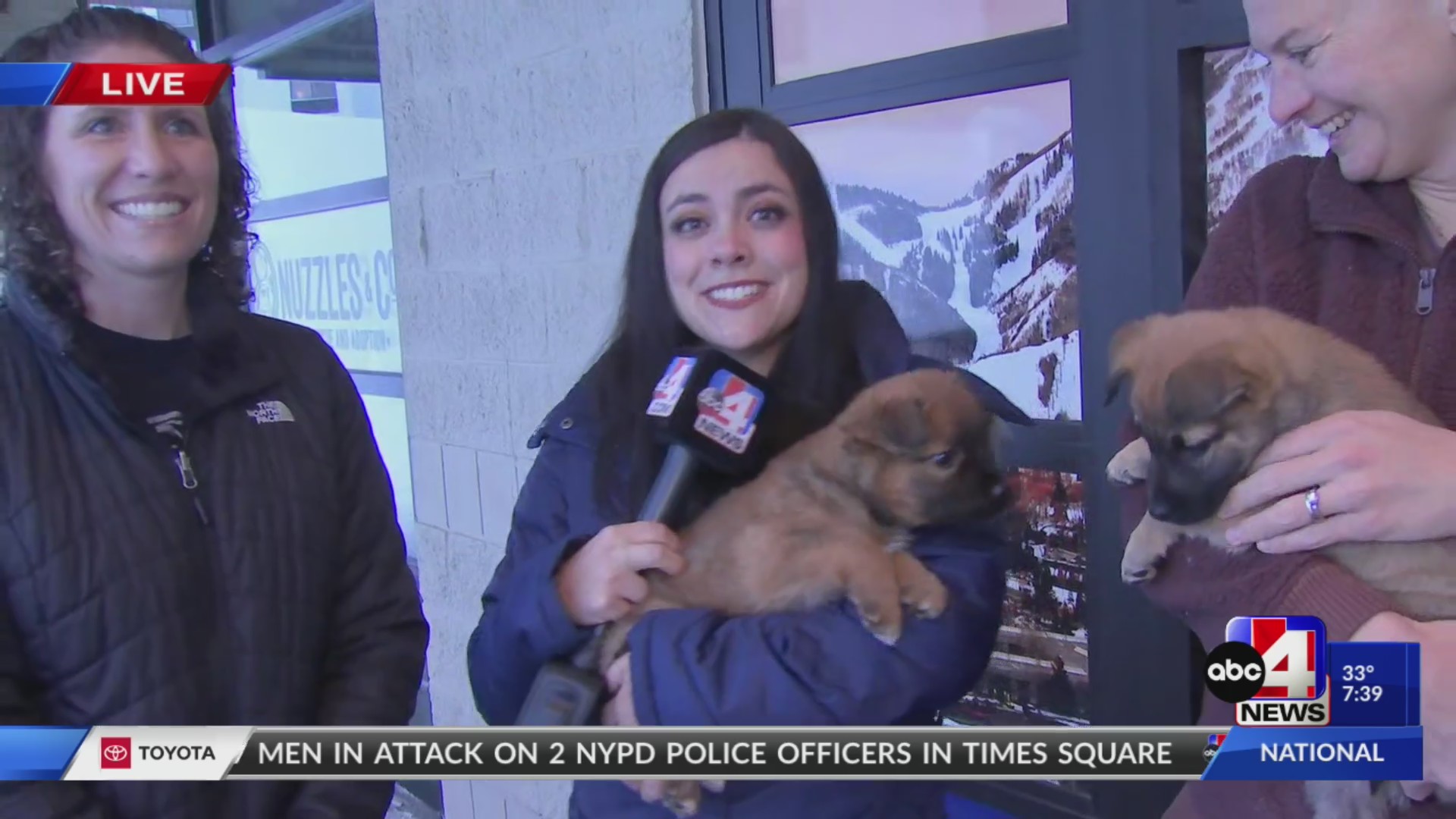 Meeting the “athletes” for ABC4’s Good Things Utah Pup Bowl – ABC4 Utah