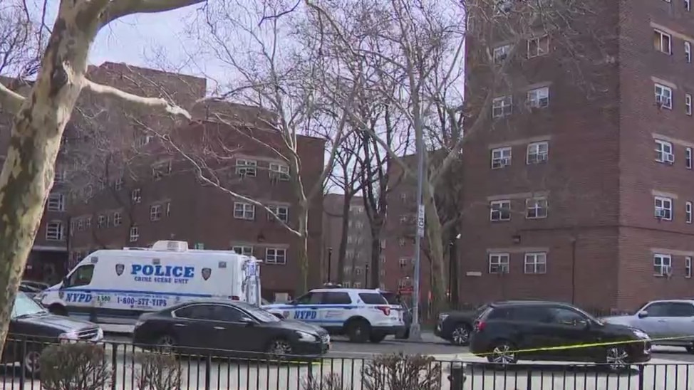 Man shot to death at Brooklyn NYCHA complex: police – PIX11