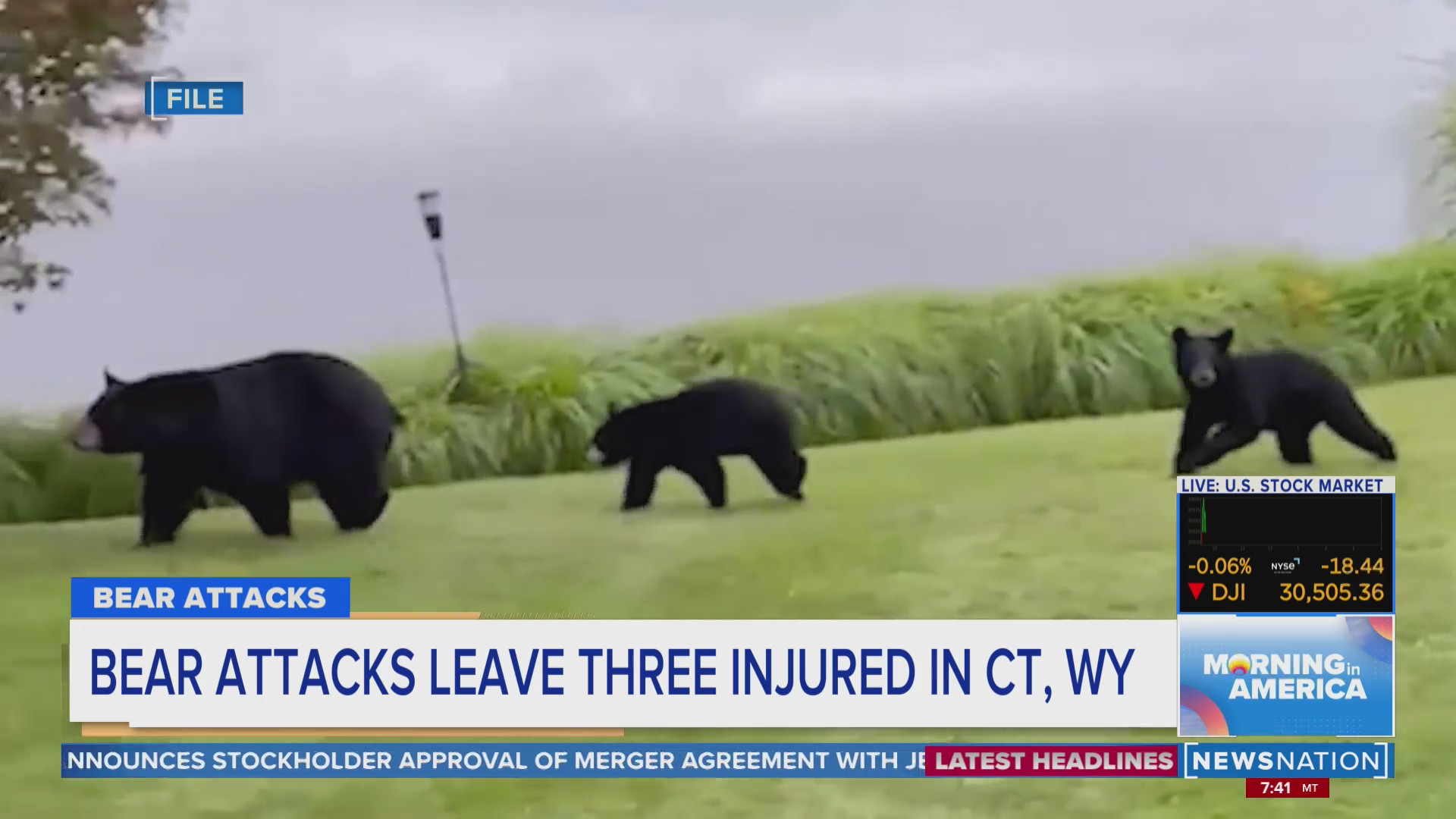 Three injured in weekend bear attacks | Morning in America – NewsNation