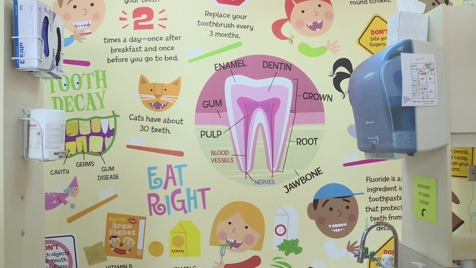 Keeping teeth healthy during National Children’s Dental Health Month ...