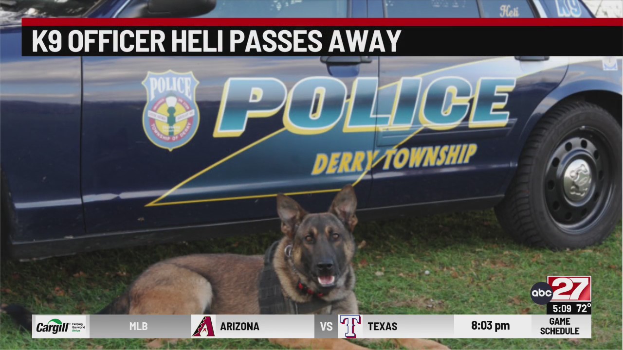 Midstate police dog dies after nearly a decade of service – ABC27