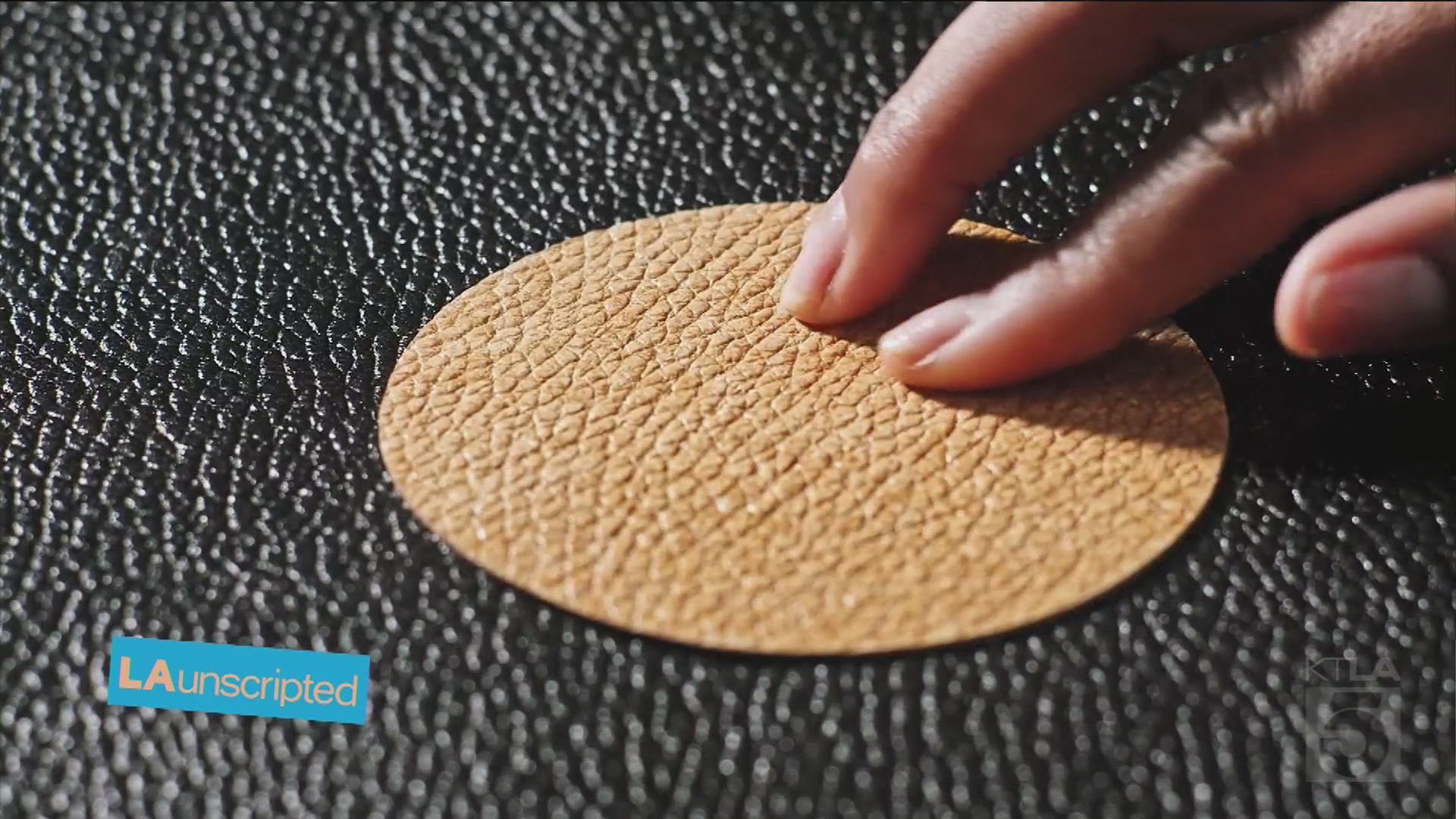 Bolt Threads creates mushroom leather – KTLA