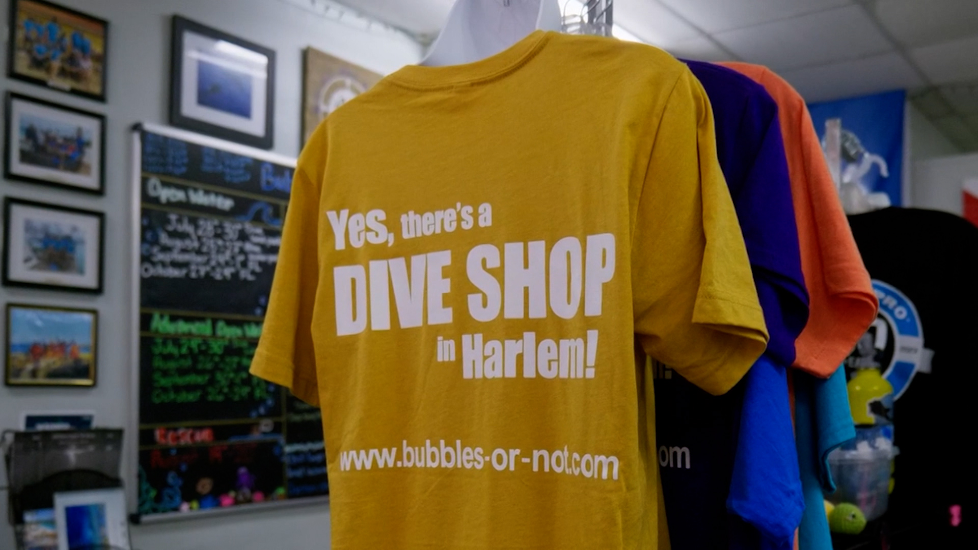 Dive shop in Harlem “Bubbles or Not” trains scuba divers and more – WJBF