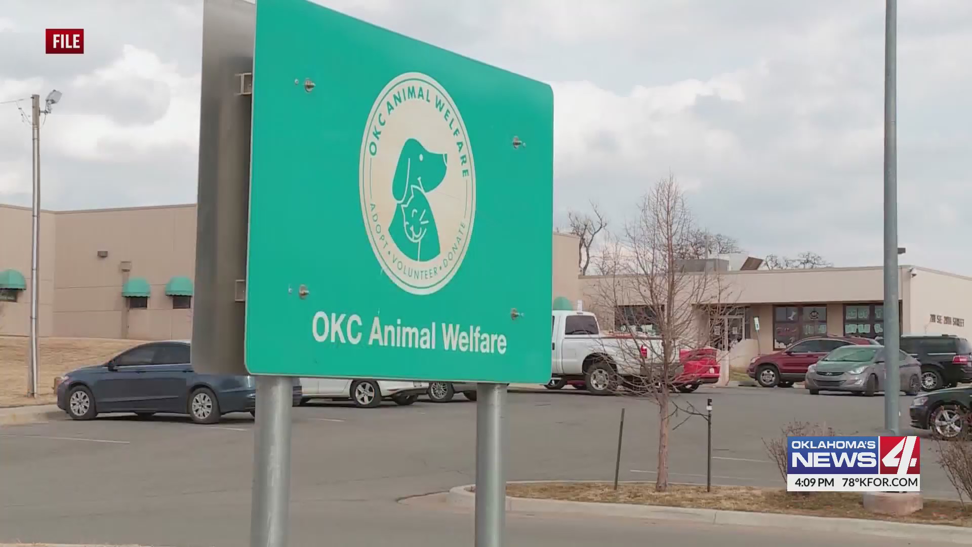 Oklahoma City Animal Shelter continues to treat canine flu, strep zoo ...