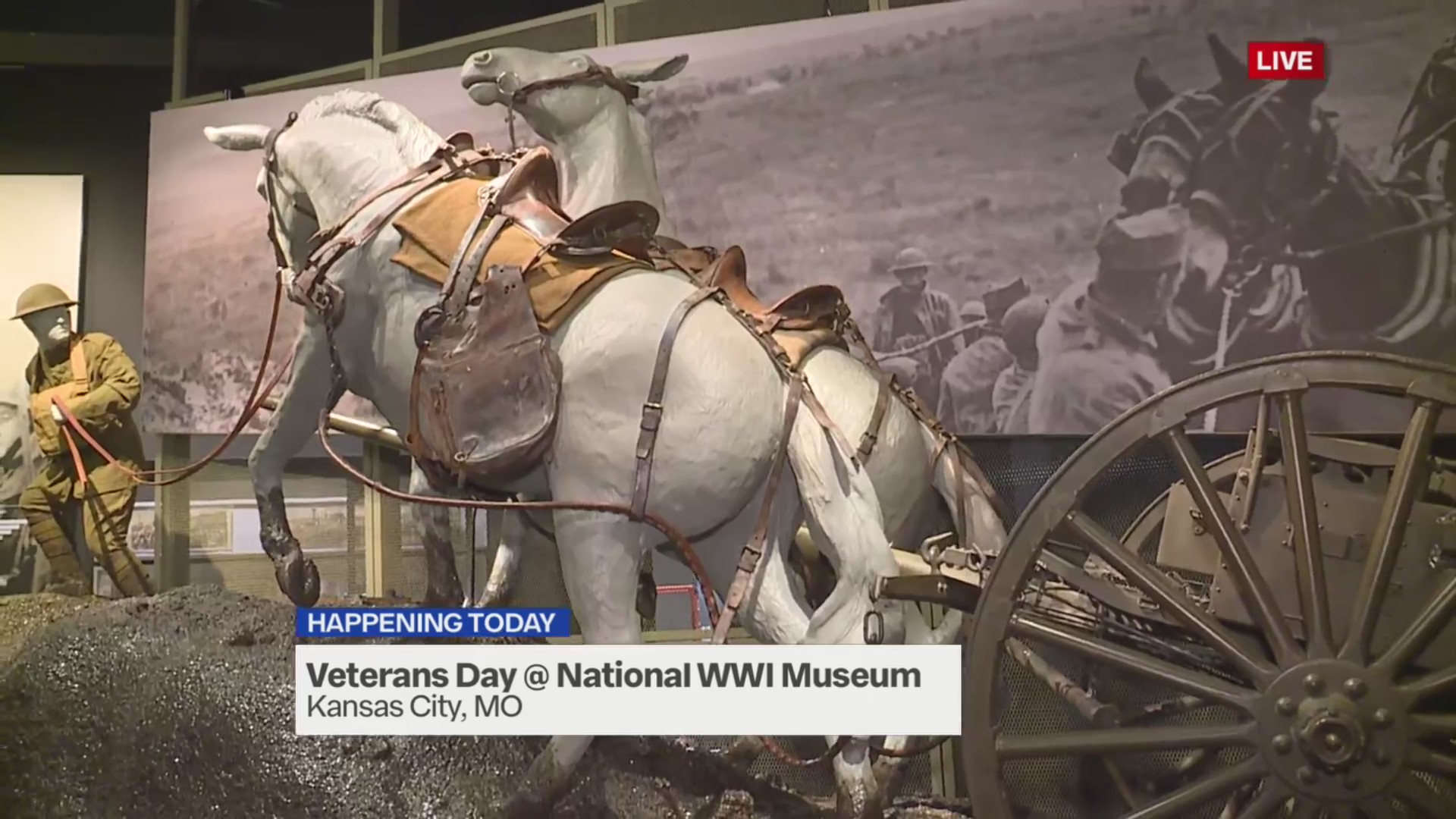 President of the National WWI Museum speaks with FOX4 – FOX 4 Kansas ...