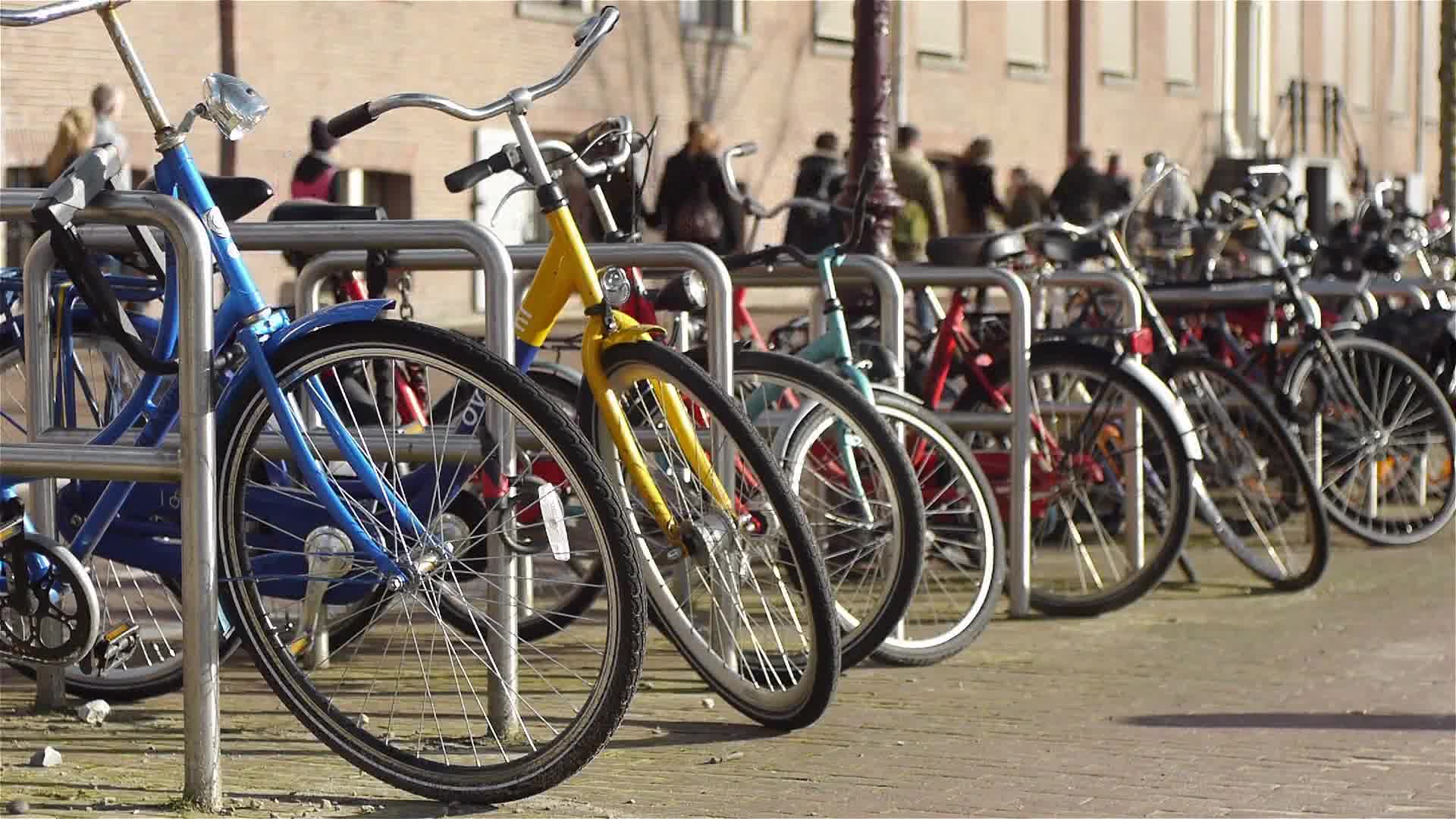 Pedaling with purpose: Here’s why biking is popular in the Netherlands ...
