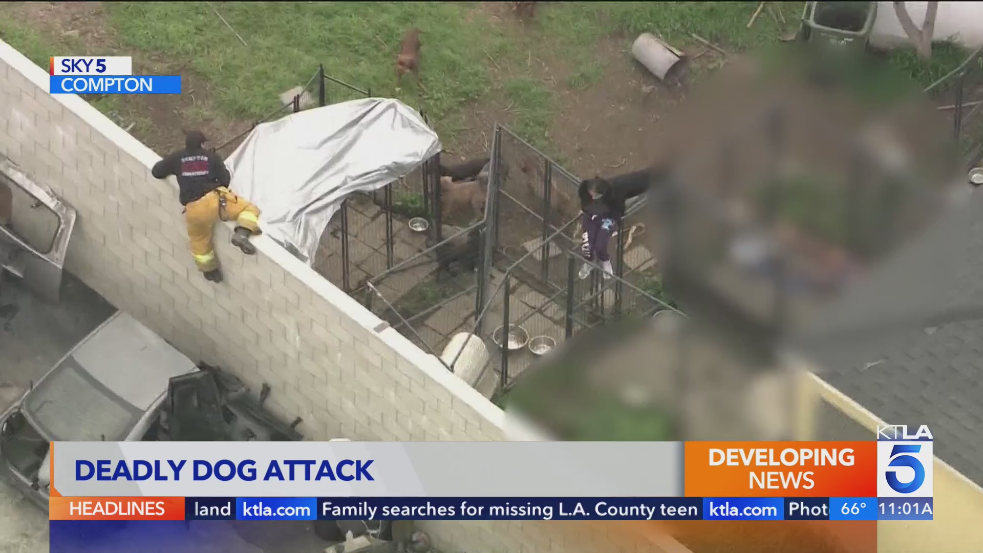 Man mauled to death by dogs in Compton – KTLA