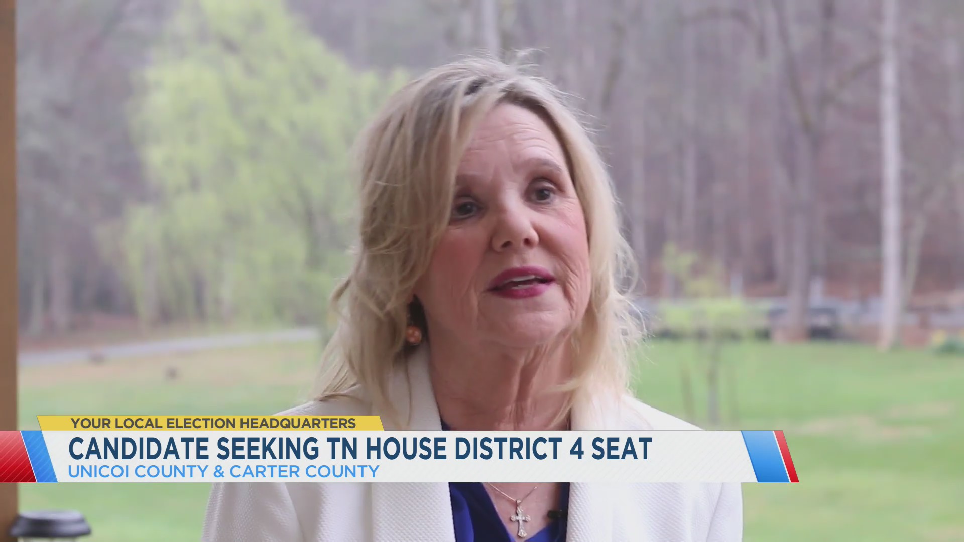 Renea Jones vying for Tennessee 4th District House seat – WJHL | Tri ...