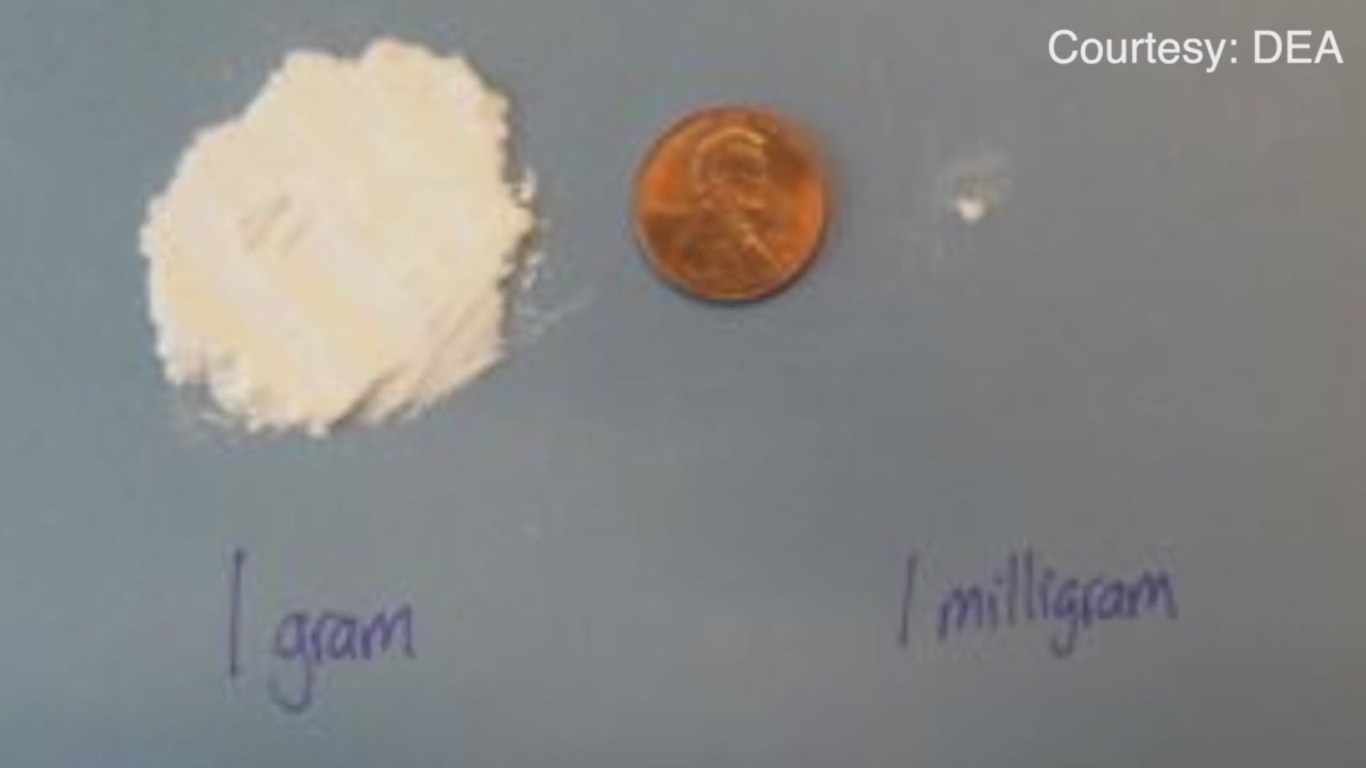 Officials warn of powdered fentanyl found in Boulder County – FOX31 Denver