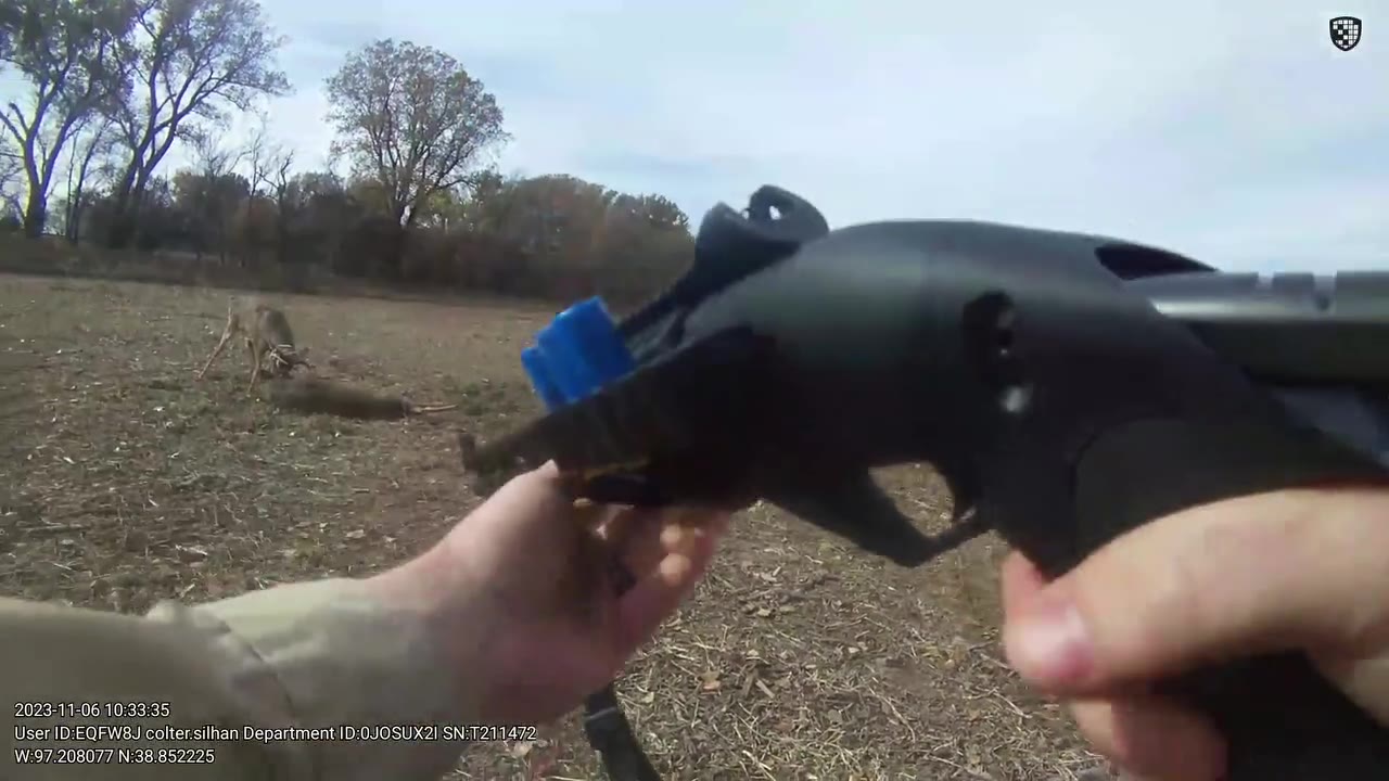 WATCH: Kansas game warden helps free tangled buck with shotgun – KSN-TV