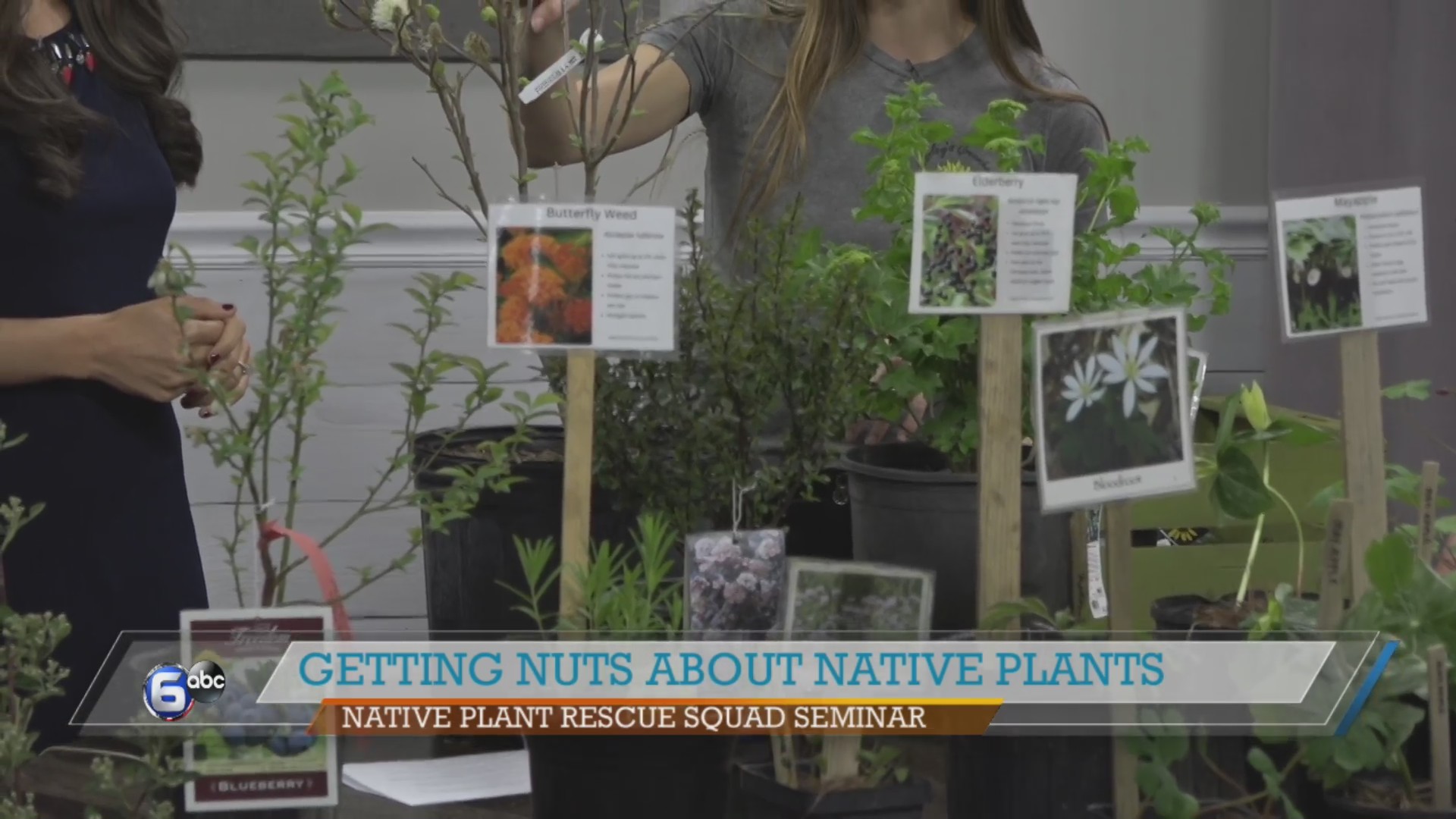 Getting nuts about native plants – WATE 6 On Your Side