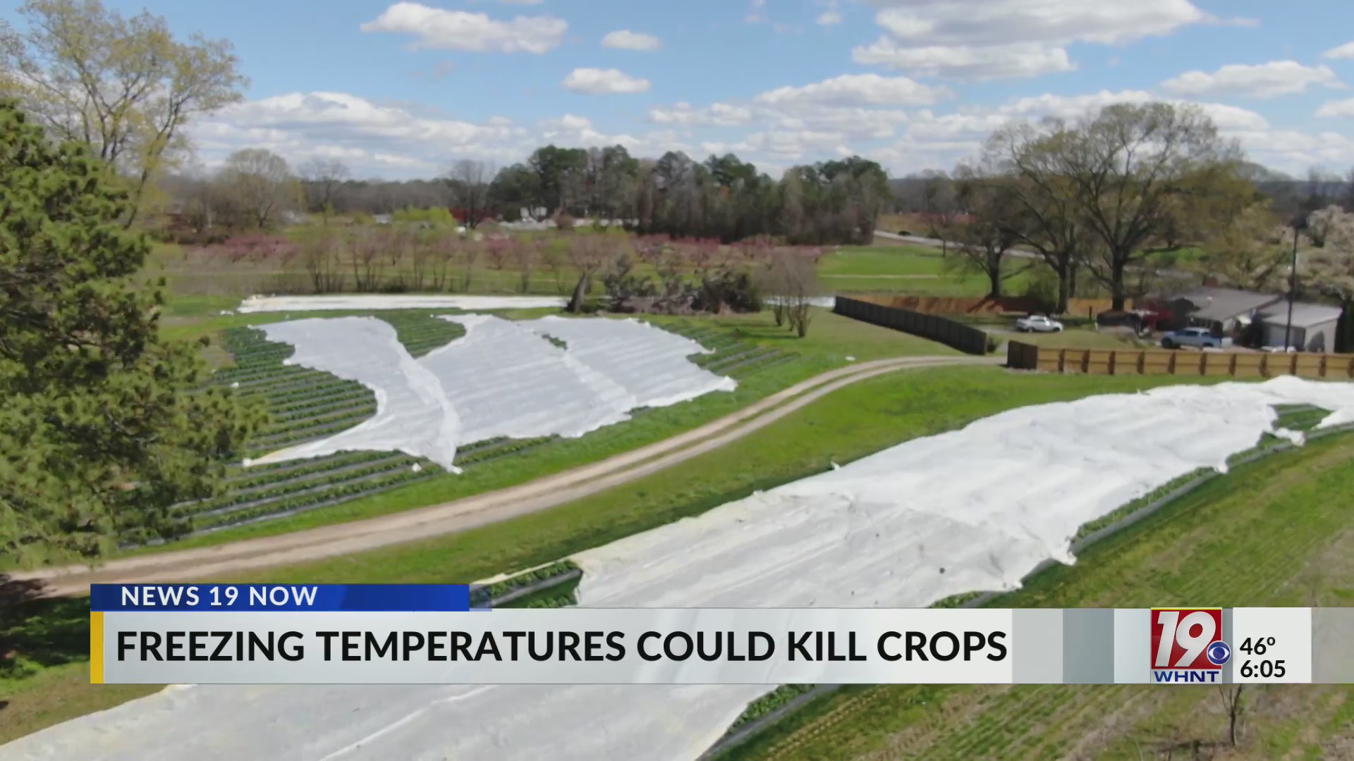 Freezing temperatures will impact crops – WHNT.com