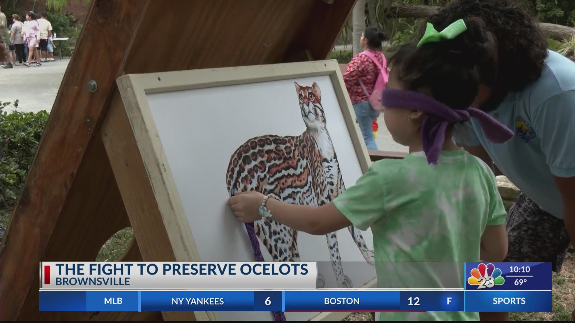 The fight to preserve the Ocelot – KVEO-TV