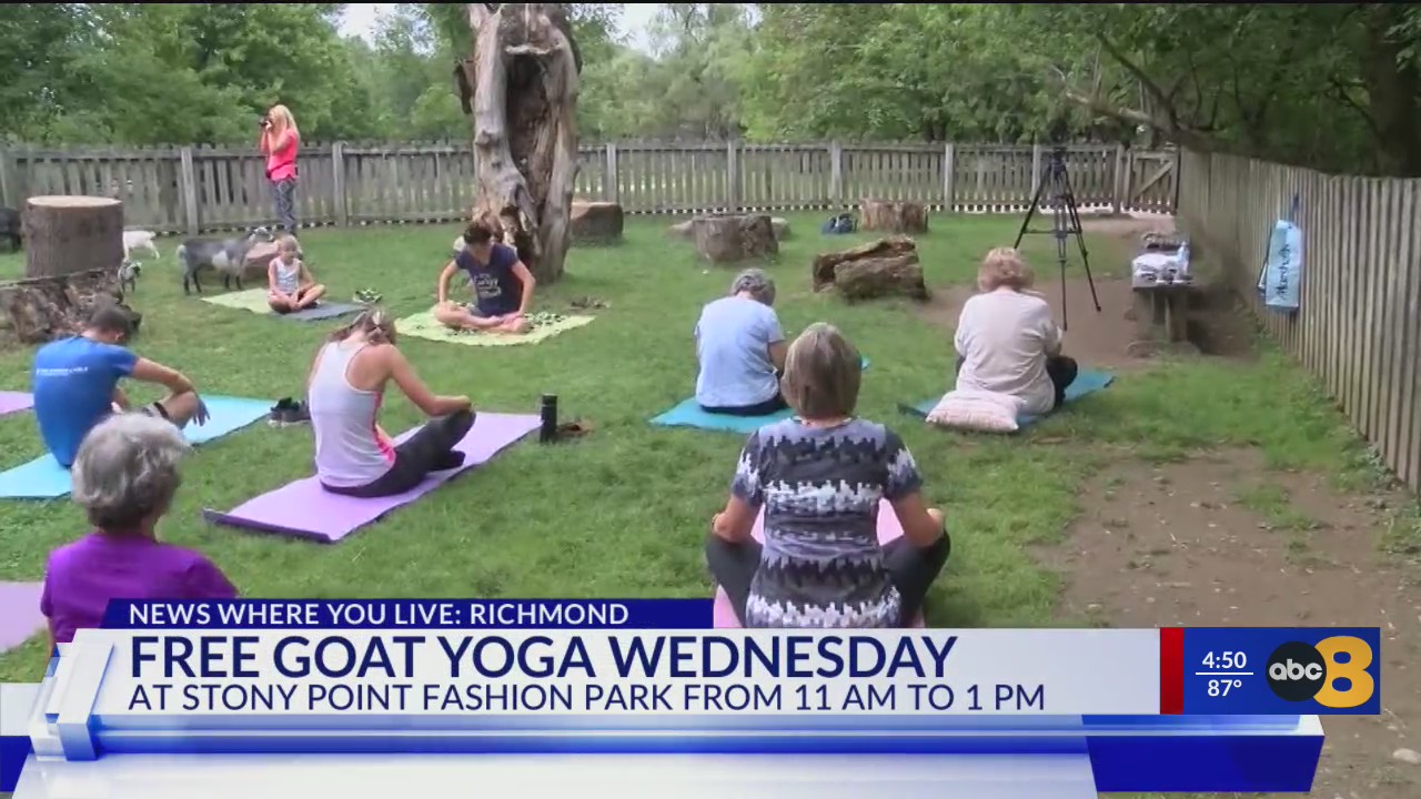 Free Goat Yoga Wednesday – WRIC ABC 8News