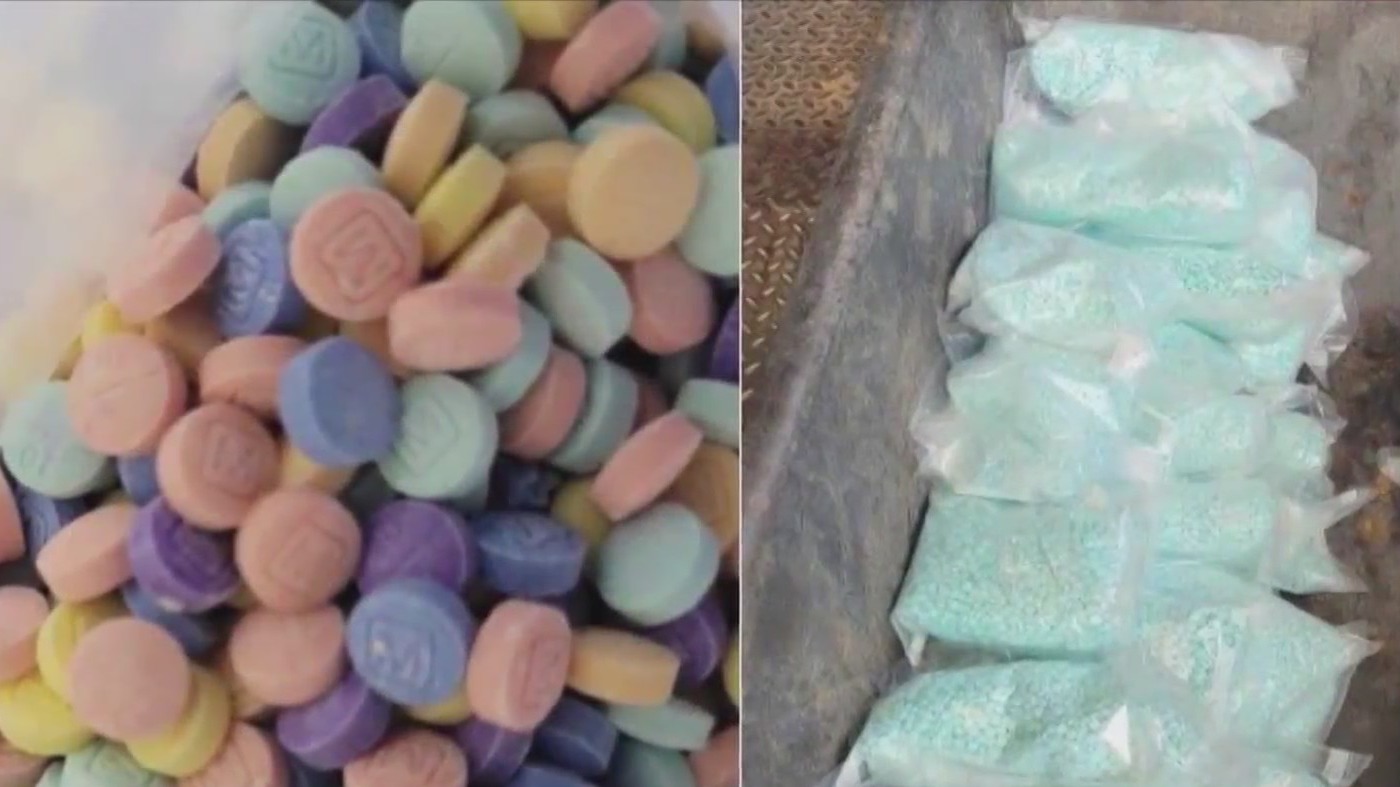 Florida fentanyl bust: Enough drugs to ‘kill 2.7 million people’ | Rush ...