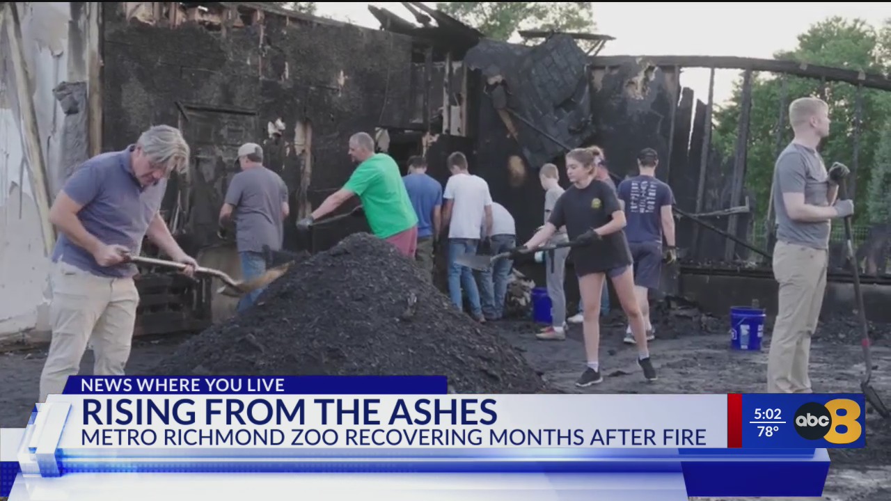 Metro Richmond Zoo recovering months after a fire destroyed parts of ...