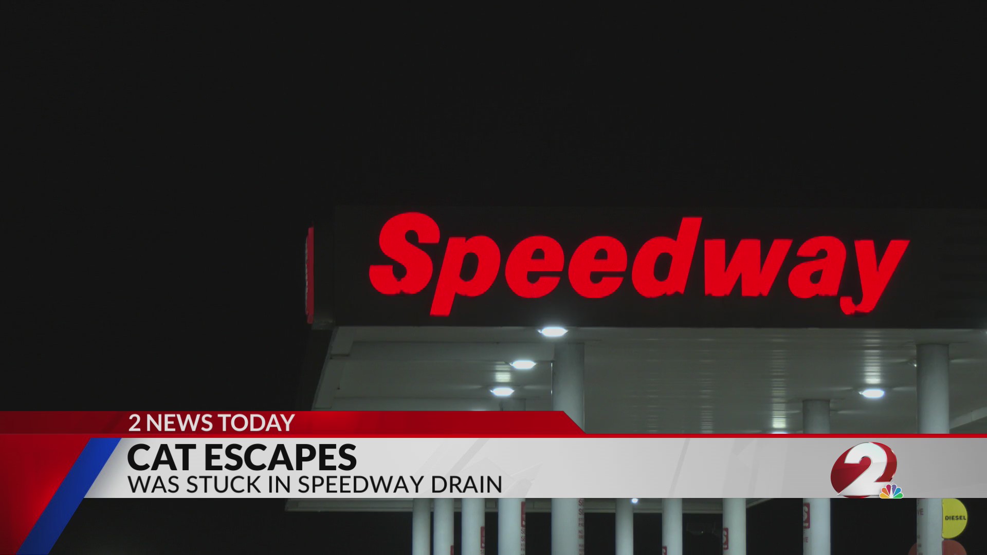 Cat gets stuck in gas station drain, causes public concern – WDTN.com
