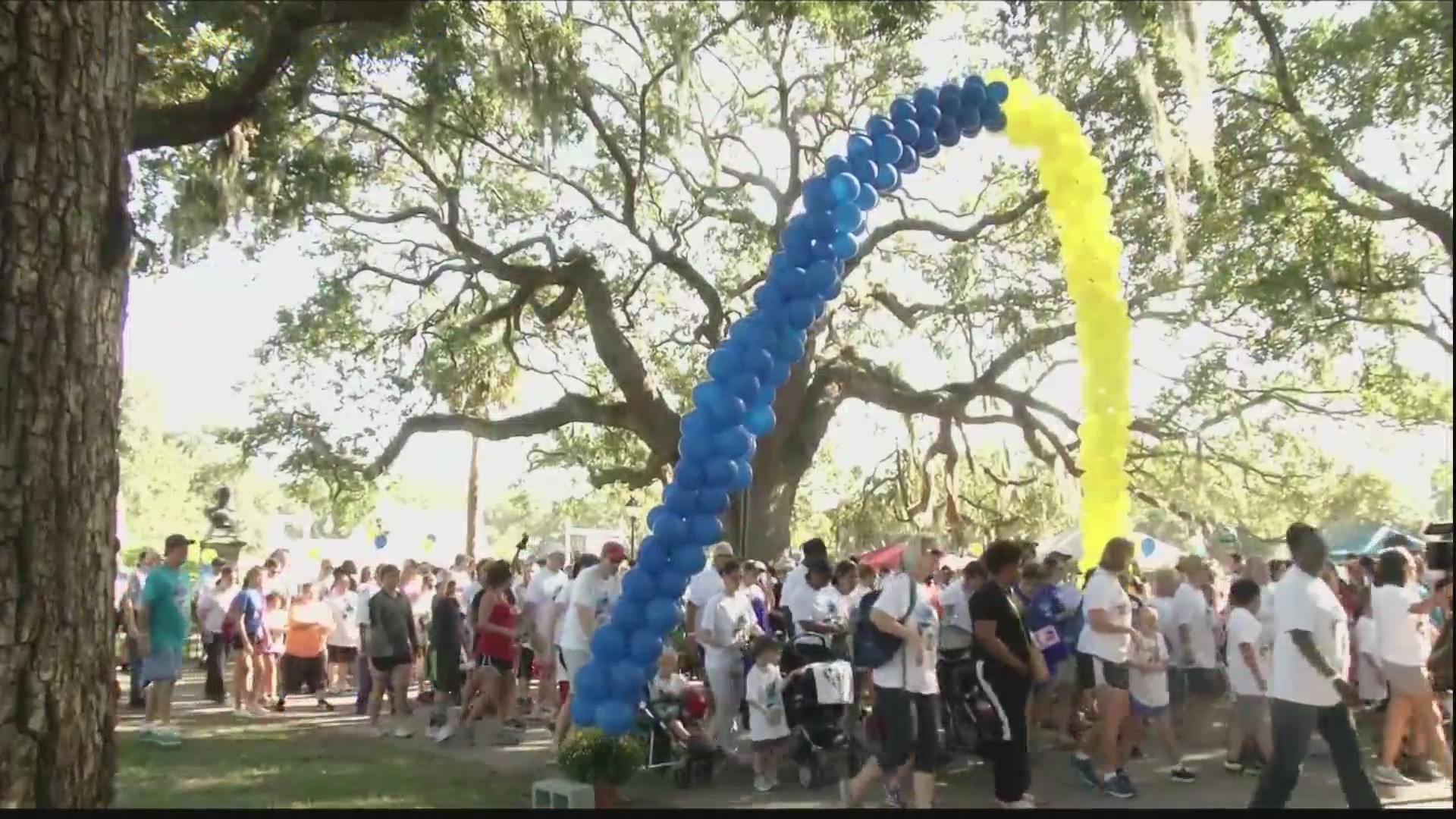 Buddy Walk returns to Forsyth Park after 2 years virtual – WSAV-TV