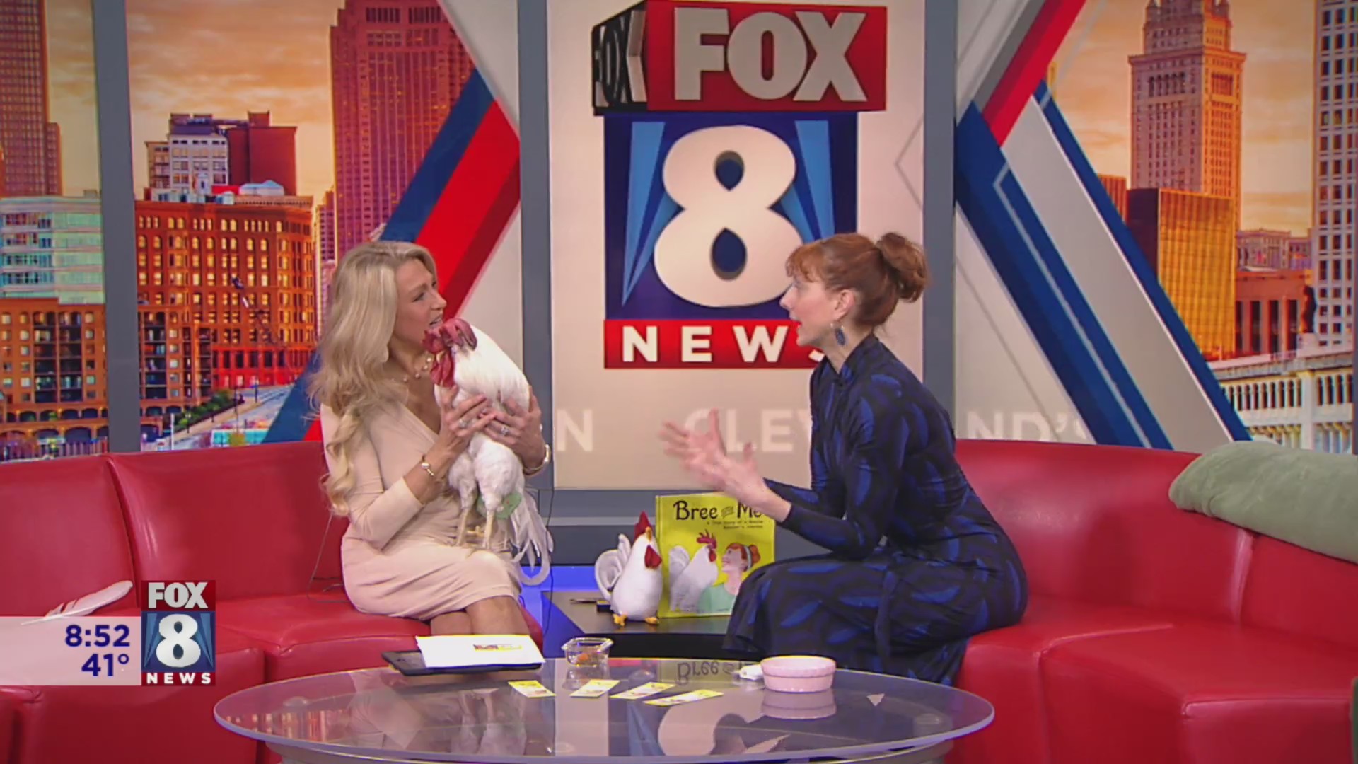 Say hello to Bree the Rooster — You won’t soon forget this chicken on a ...