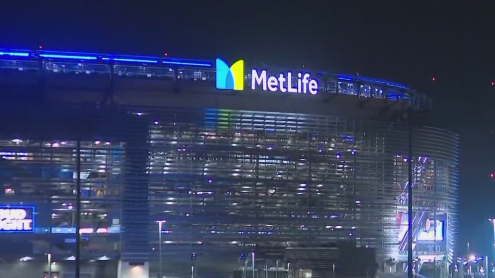 MetLife Stadium to host World Cup final in 2026 – PIX11