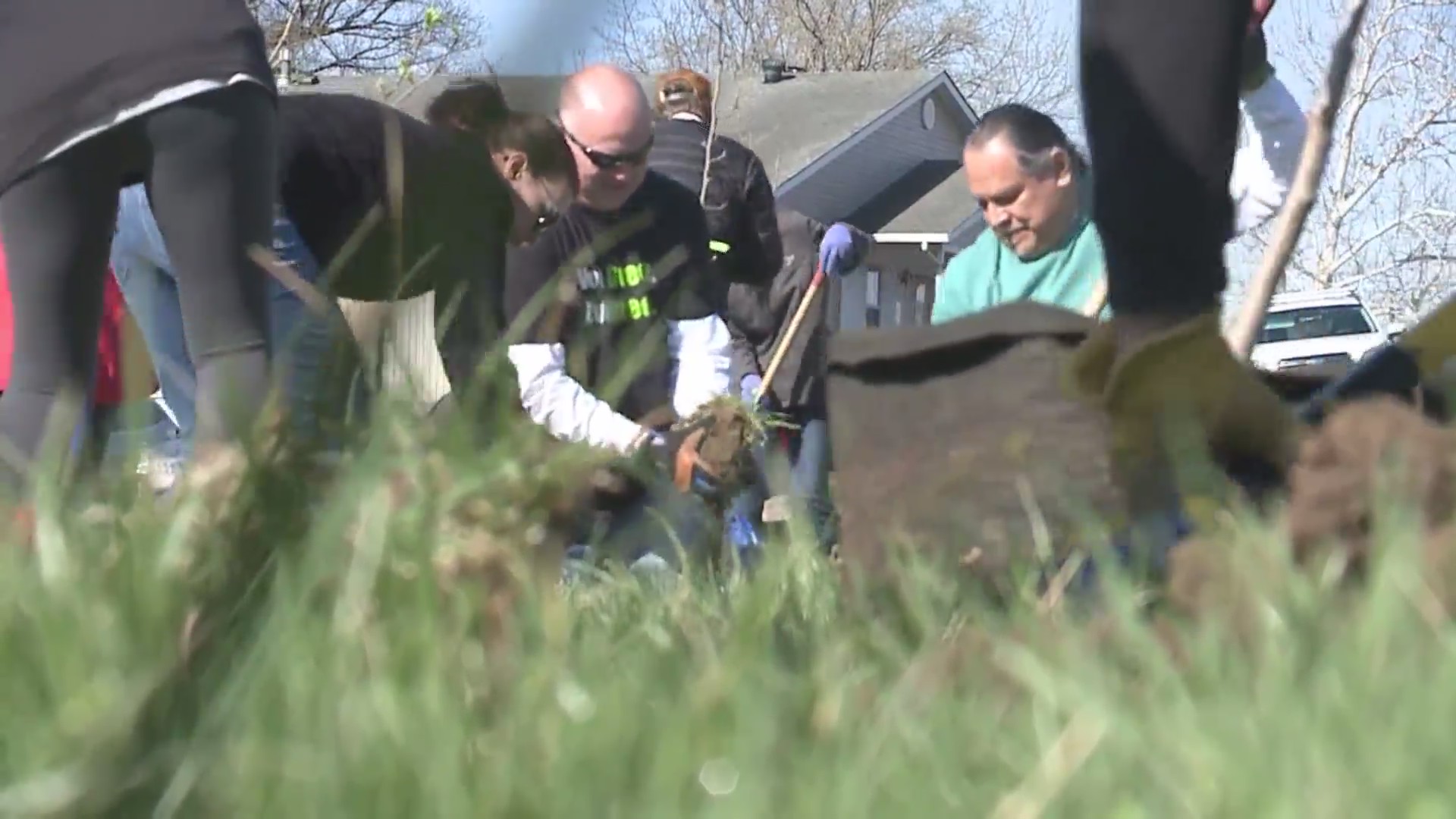 NFL Green plants fruit orchard – FOX 4 Kansas City WDAF-TV | News ...