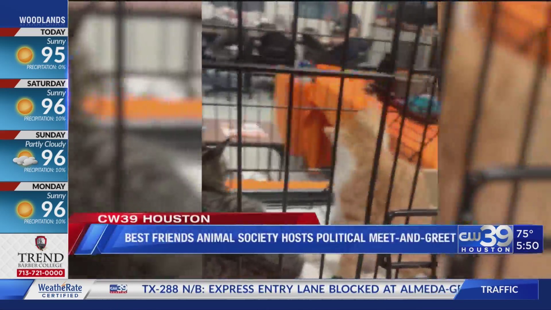 Best Friends Animal Society Hosts Mayoral/local candidate meet-and ...