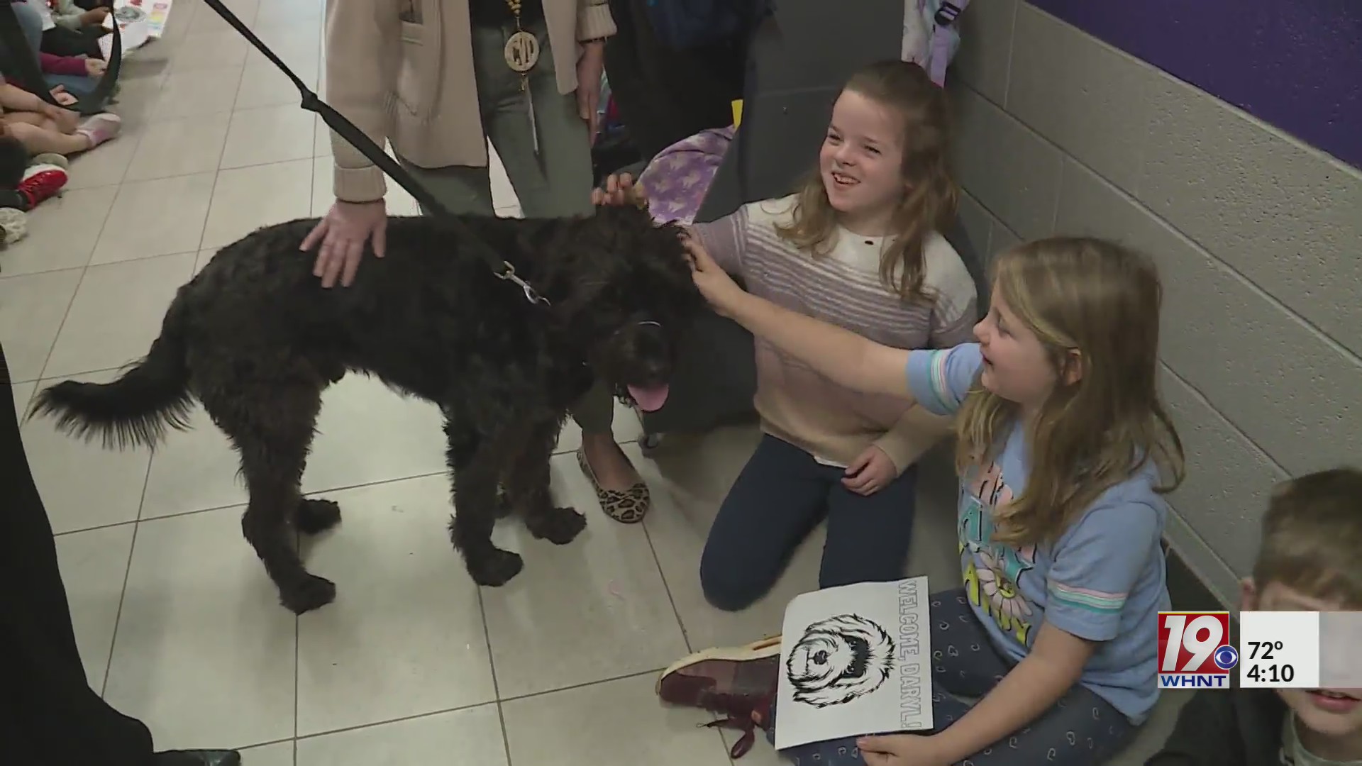 Midtown Elementary Introduces Facility Dog, Daryl | February 26, 2024 ...