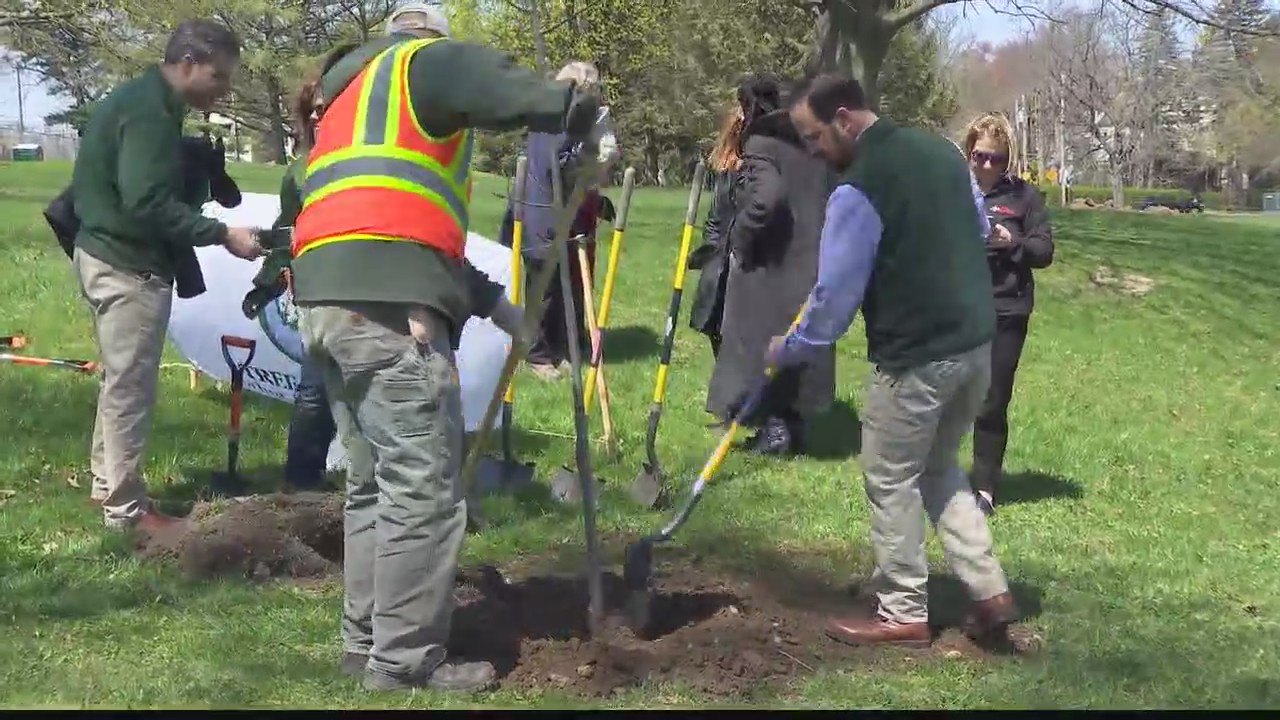 Tree planting ceremonies celebrate Arbor Day – NEWS10 ABC