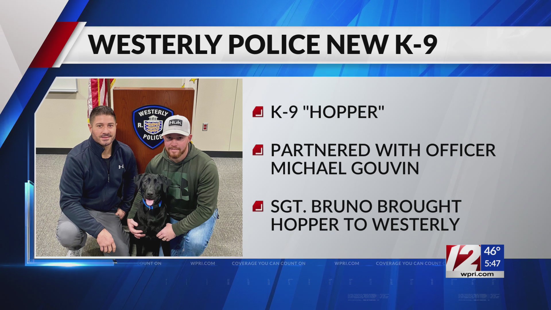 Meet Hopper, Westerly’s new police K-9 – WPRI.com